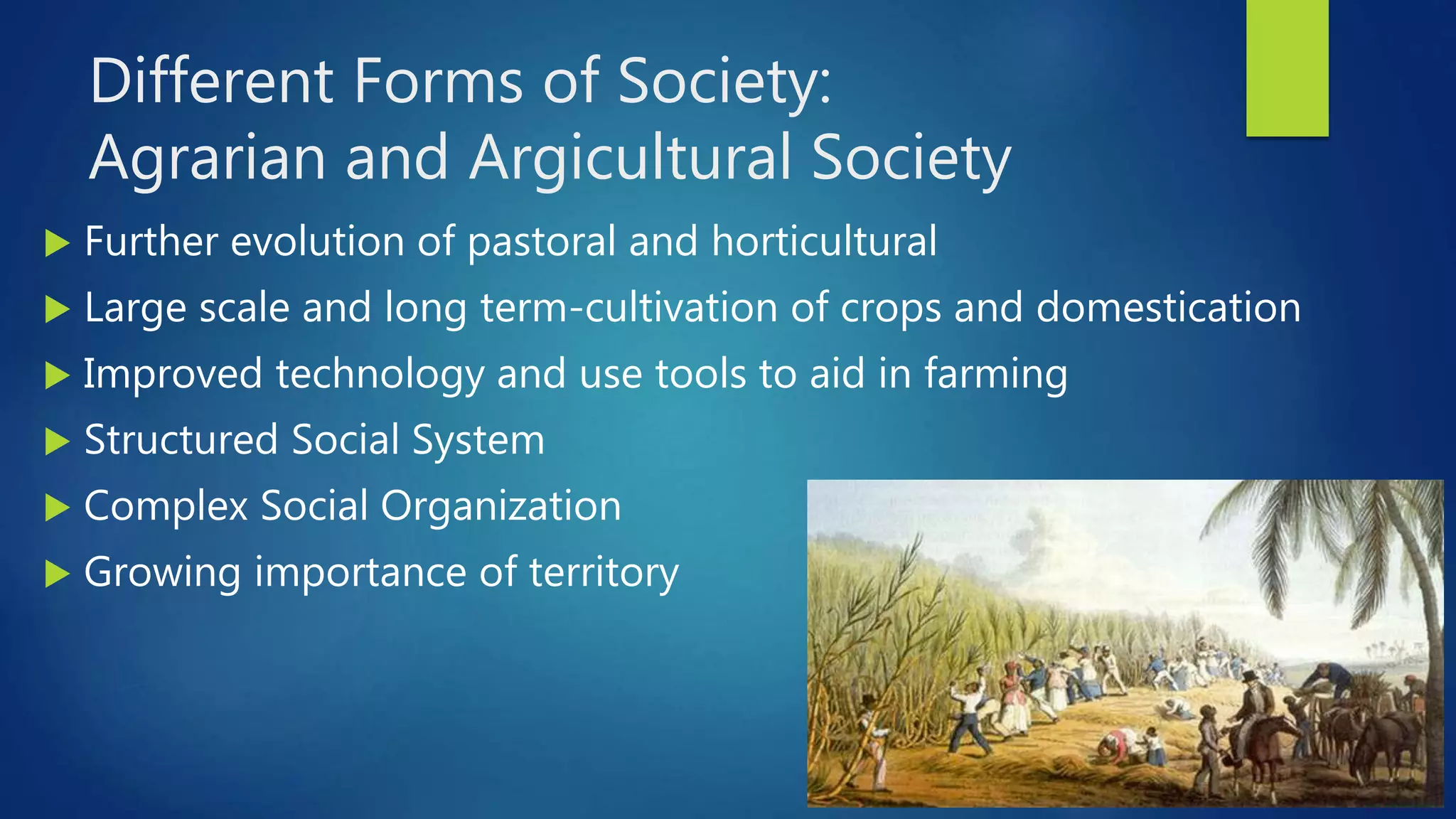 Different Forms of Society | PPTX