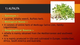 DIFFERENT HERBS USED AS HEALTH FOOD.pptx