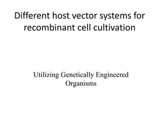 Different host vector systems for recombinant cell cultivation By D ...