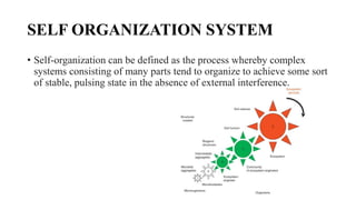 Differentiable self-organizing systems.pptx