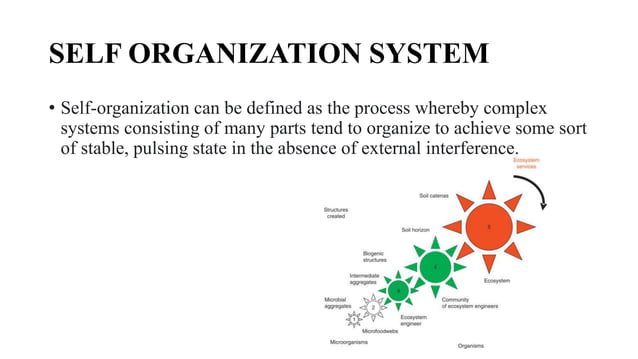 Differentiable self-organizing systems.pptx