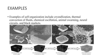 Differentiable self-organizing systems.pptx