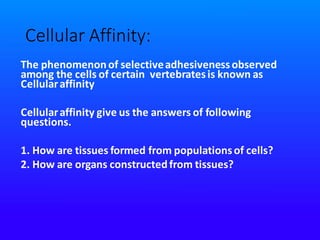 Differential cell affinity | PDF