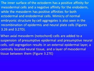 Differential cell affinity | PDF