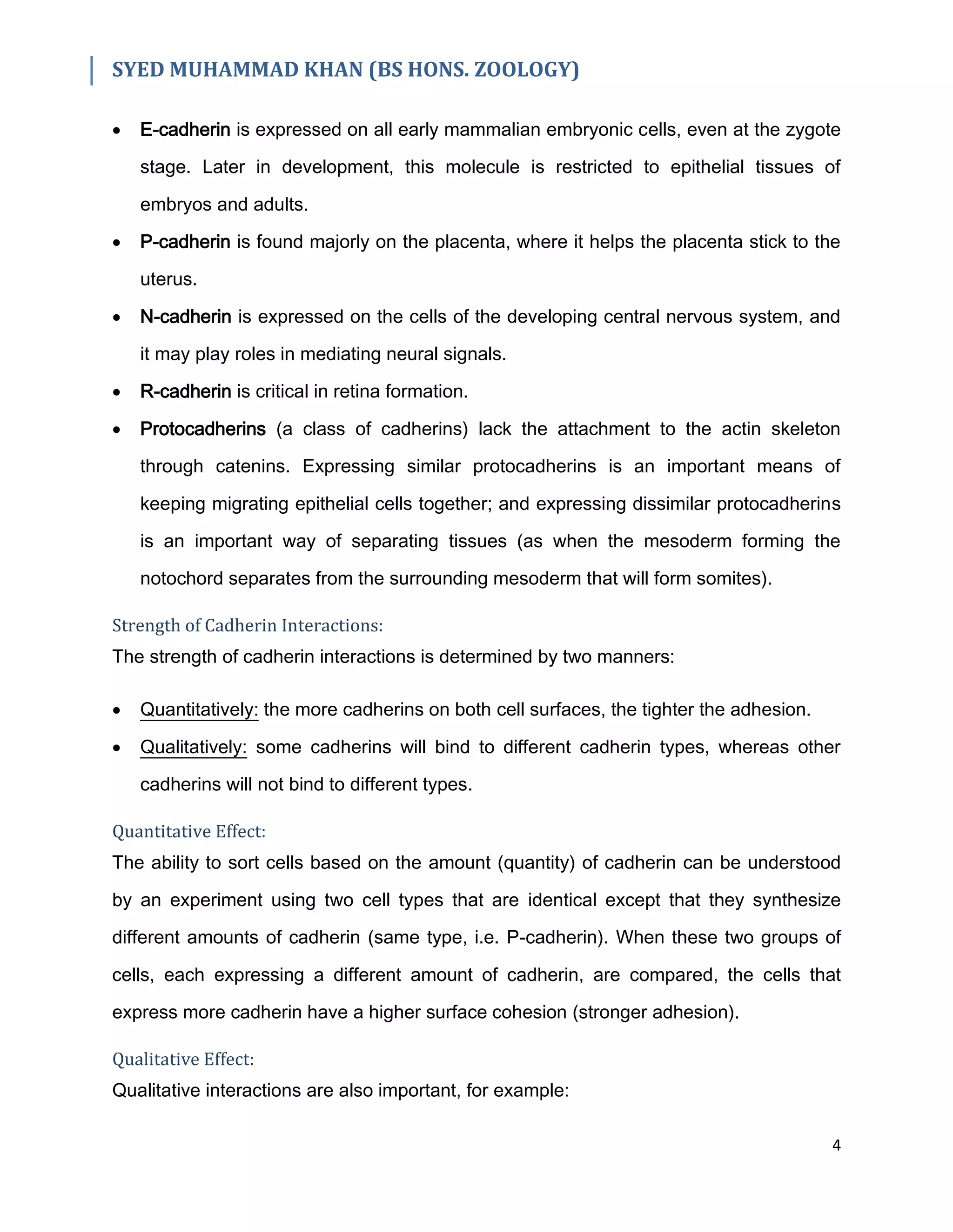 Differential Cell Affinity & Cell Adhesion Molecules | PDF