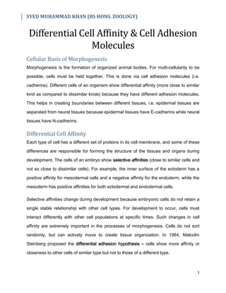 Differential Cell Affinity & Cell Adhesion Molecules | PDF