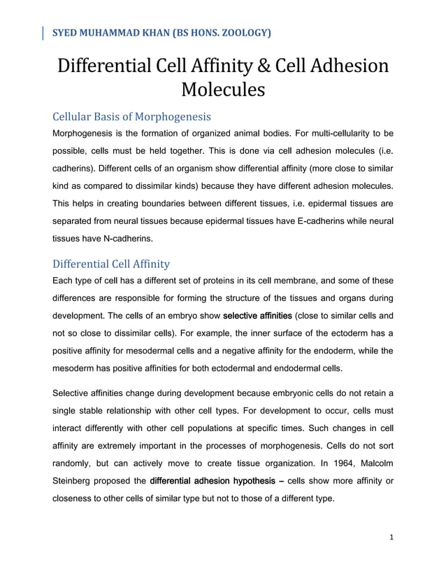 Differential Cell Affinity & Cell Adhesion Molecules | PDF | Biological ...