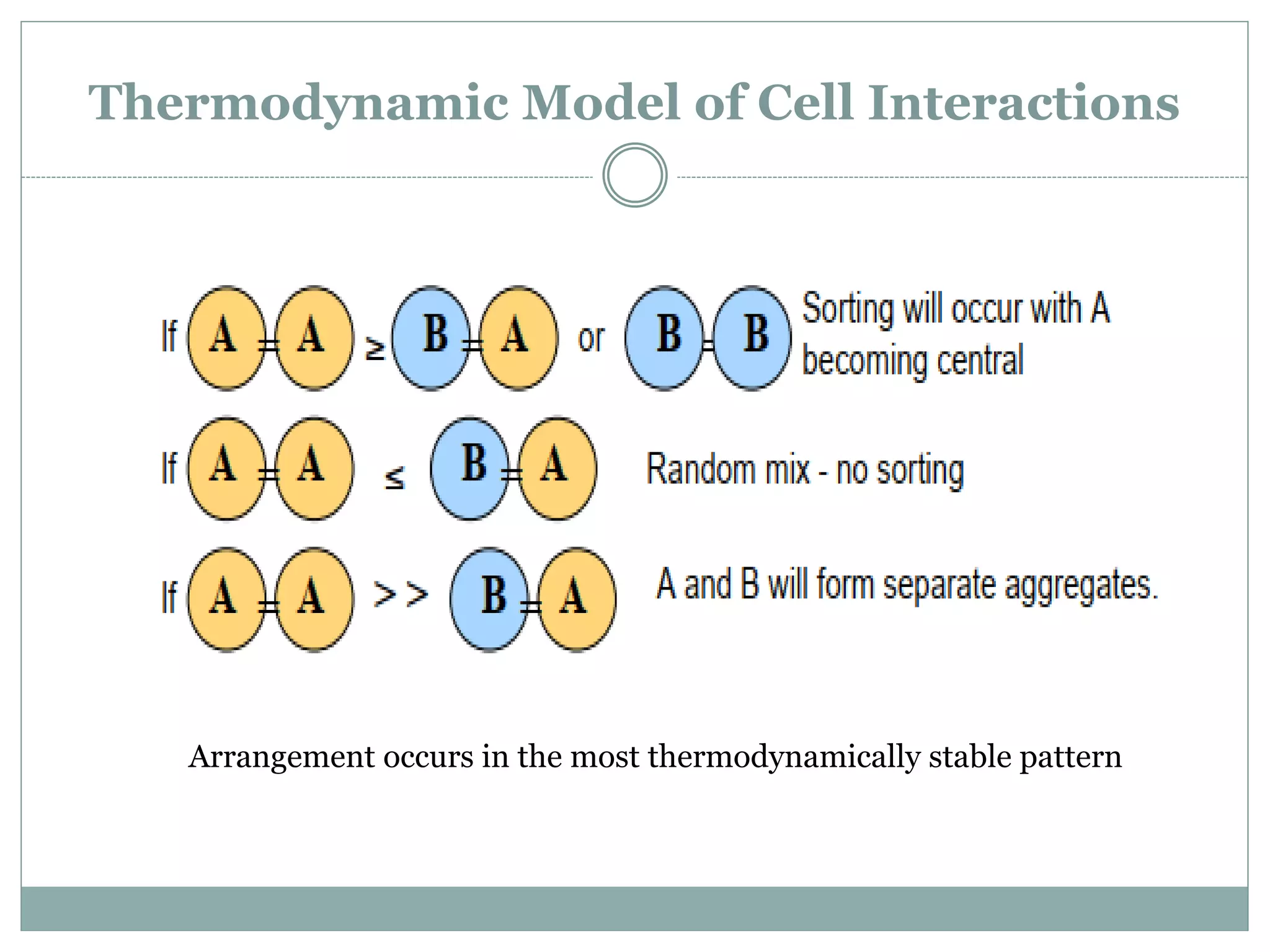 Differential Cell Affinity | PDF