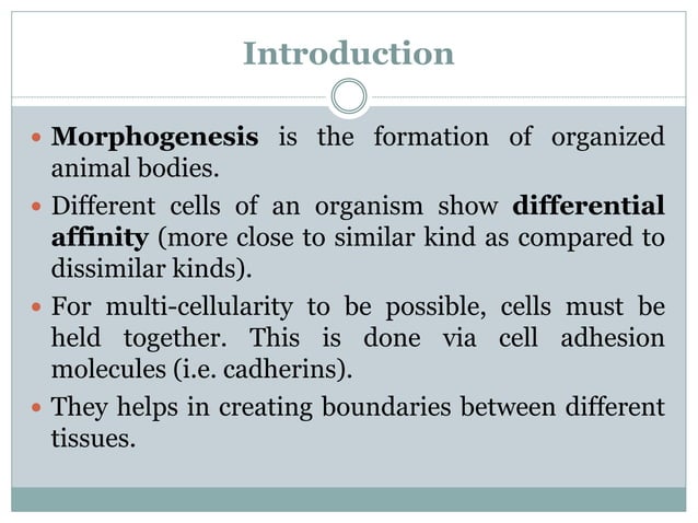 Differential Cell Affinity | PDF