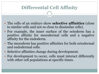 Differential Cell Affinity | PDF