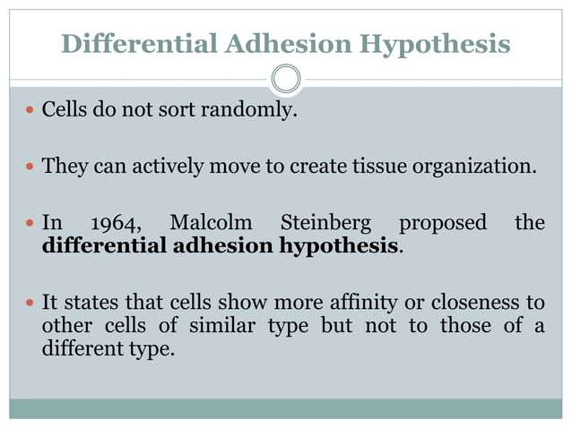 Differential Cell Affinity | PDF