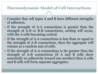 Differential Cell Affinity | PDF