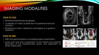 Differential Diagnosis for Anal and Perianal Masses.pptx