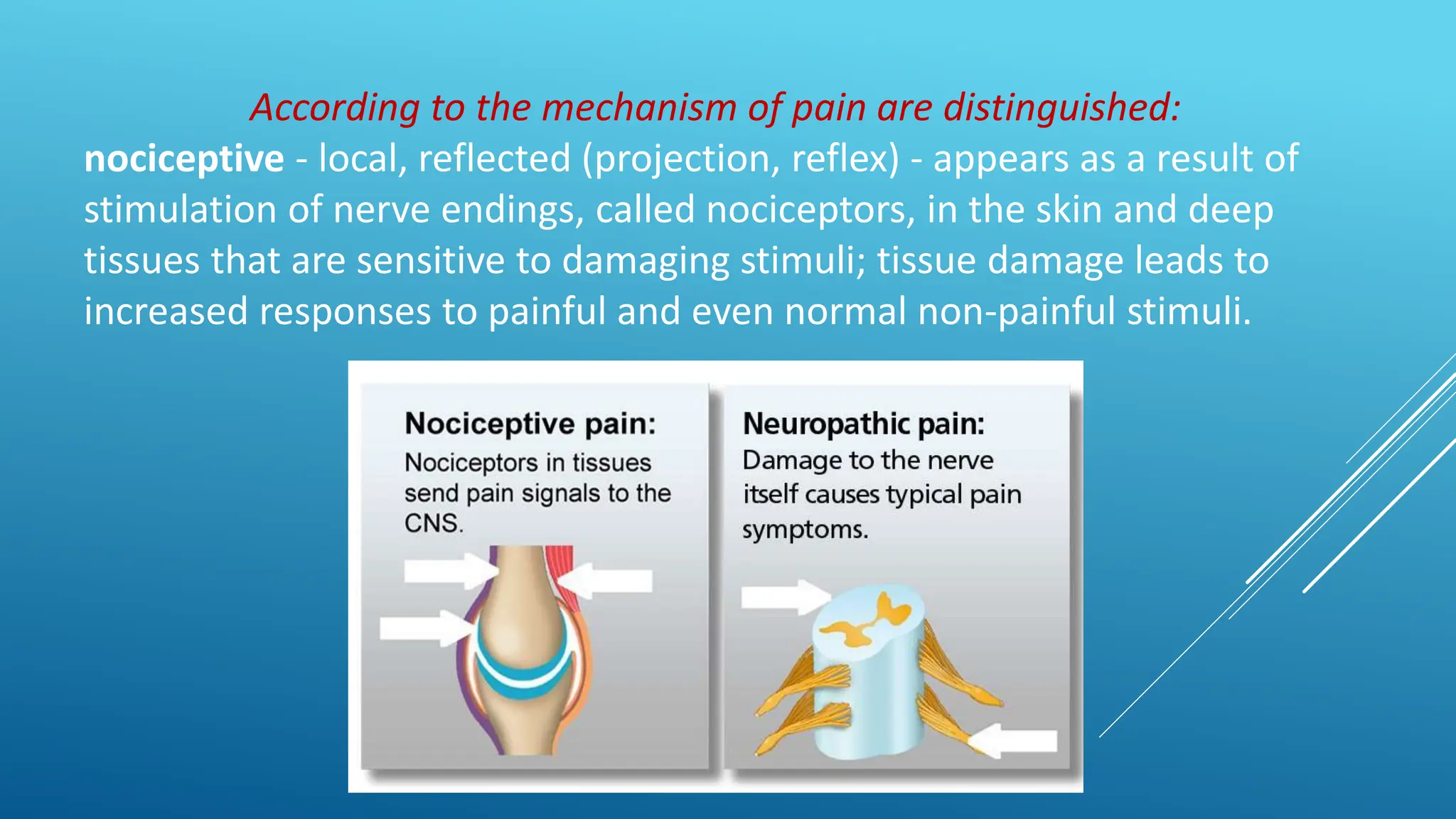 Differential diagnosis of back painv.ppt
