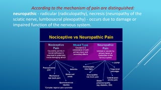 Differential diagnosis of back painv.ppt