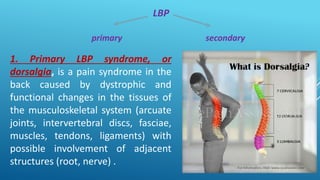 Differential diagnosis of back painv.ppt