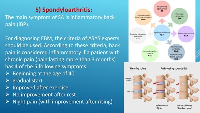 Differential diagnosis of back painv.ppt