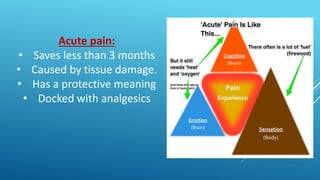 Differential diagnosis of back painv.ppt