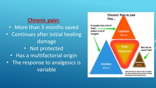 Differential diagnosis of back painv.ppt