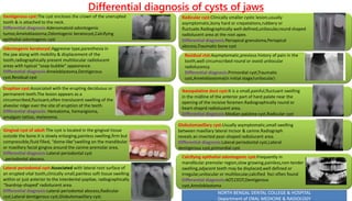 Differential diagnosis of cysts of jaws | PPTX