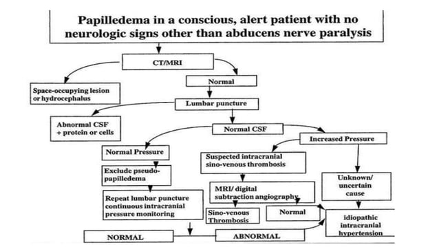 Differential Diagnosis of Disc Edema | PPTX | Eye and Vision Conditions ...
