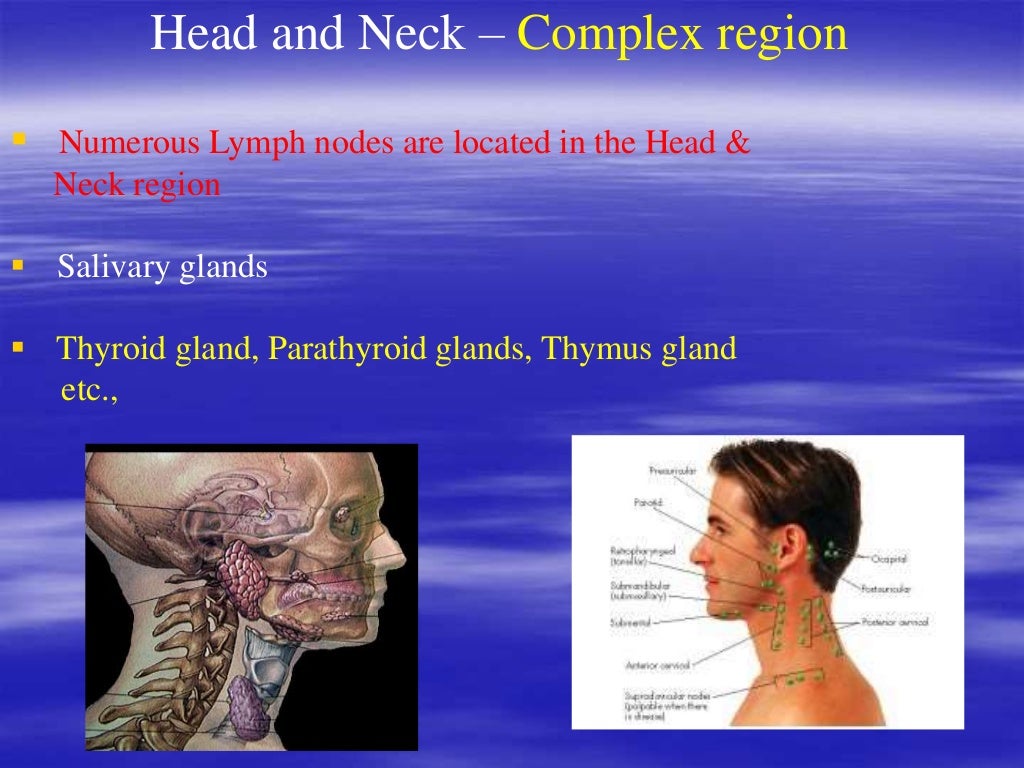 Differential diagnosis of head and neck swelling Differential diagnosis of head and neck swelling