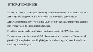 Differential diagnosis of keratosis follicularis.pptx