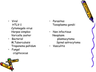 Differential diagnosis of LETM in adults | PPT
