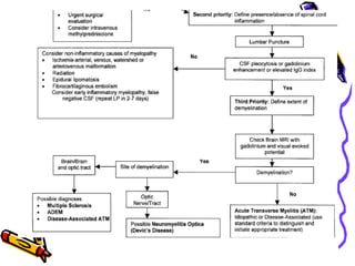 Differential diagnosis of LETM in adults | PPT