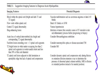 Differential diagnosis of LETM in adults | PPT