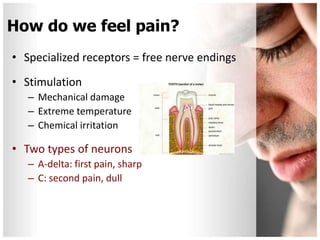 differential_diagnosis_of_orofacial_pain.ppt