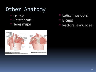 Differential diagnosis of shoulder region-1.pptx