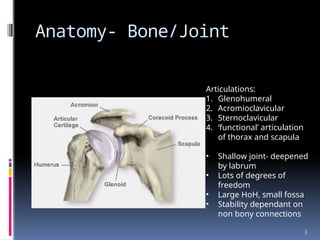 Differential diagnosis of shoulder region-1.pptx