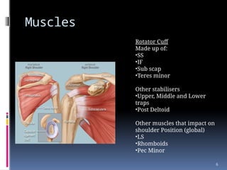 Differential diagnosis of shoulder region-1.pptx