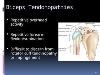 Differential diagnosis of shoulder region-1.pptx