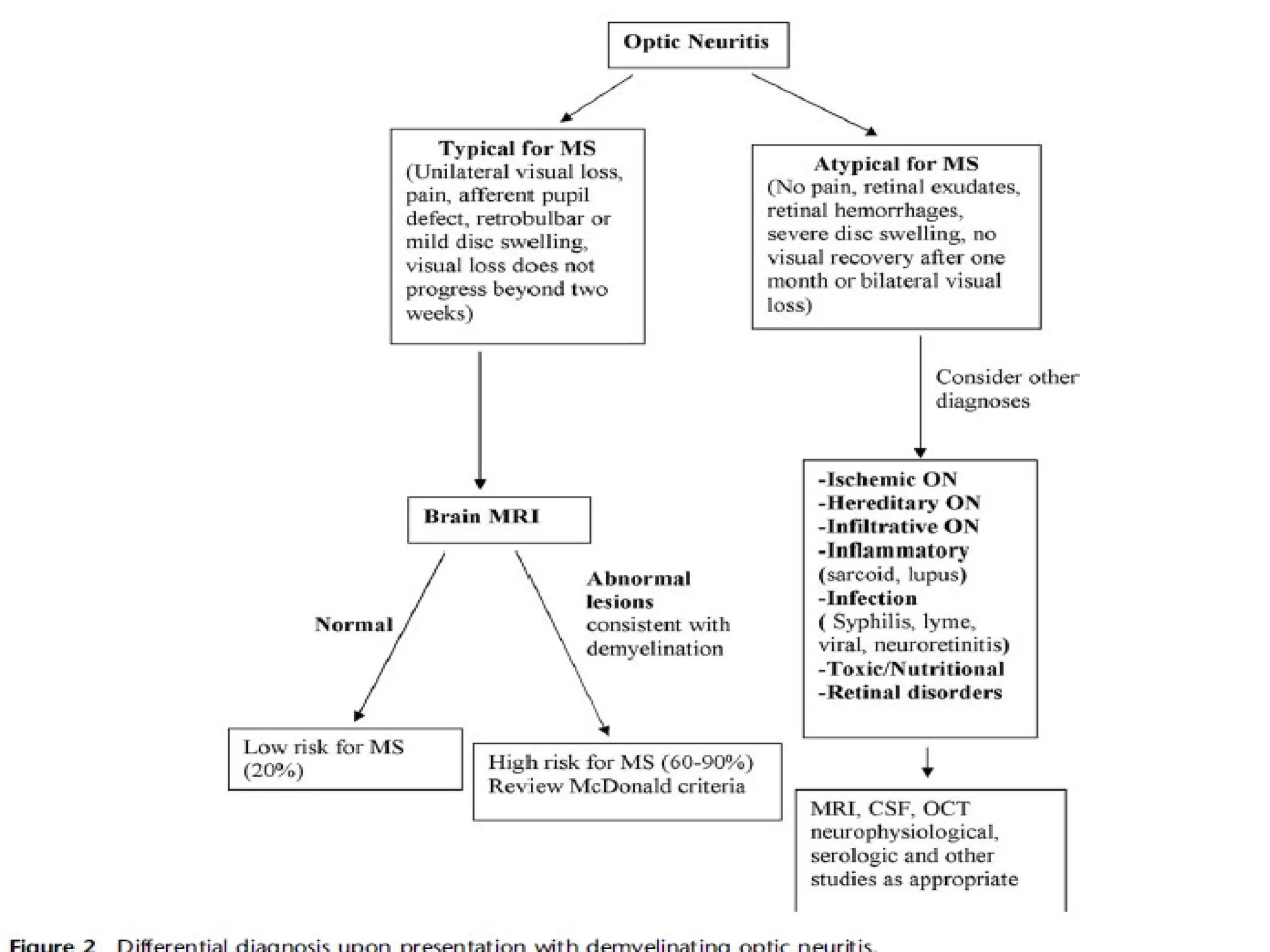 Differential diagnosis of suspected multiple sclerosis | PPT