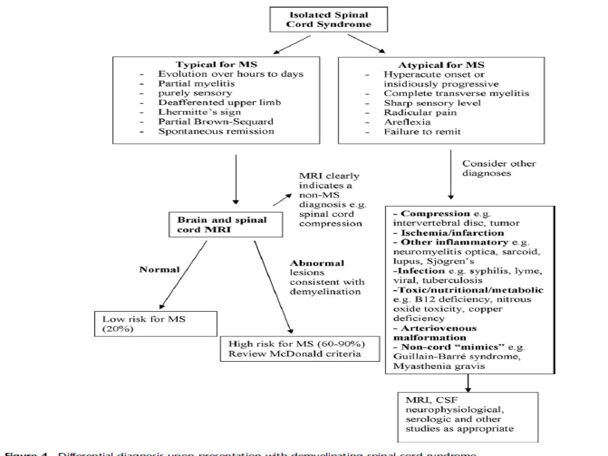 Differential diagnosis of suspected multiple sclerosis | PPT