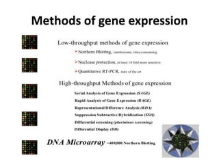 Differential gene profiling methods | PPTX