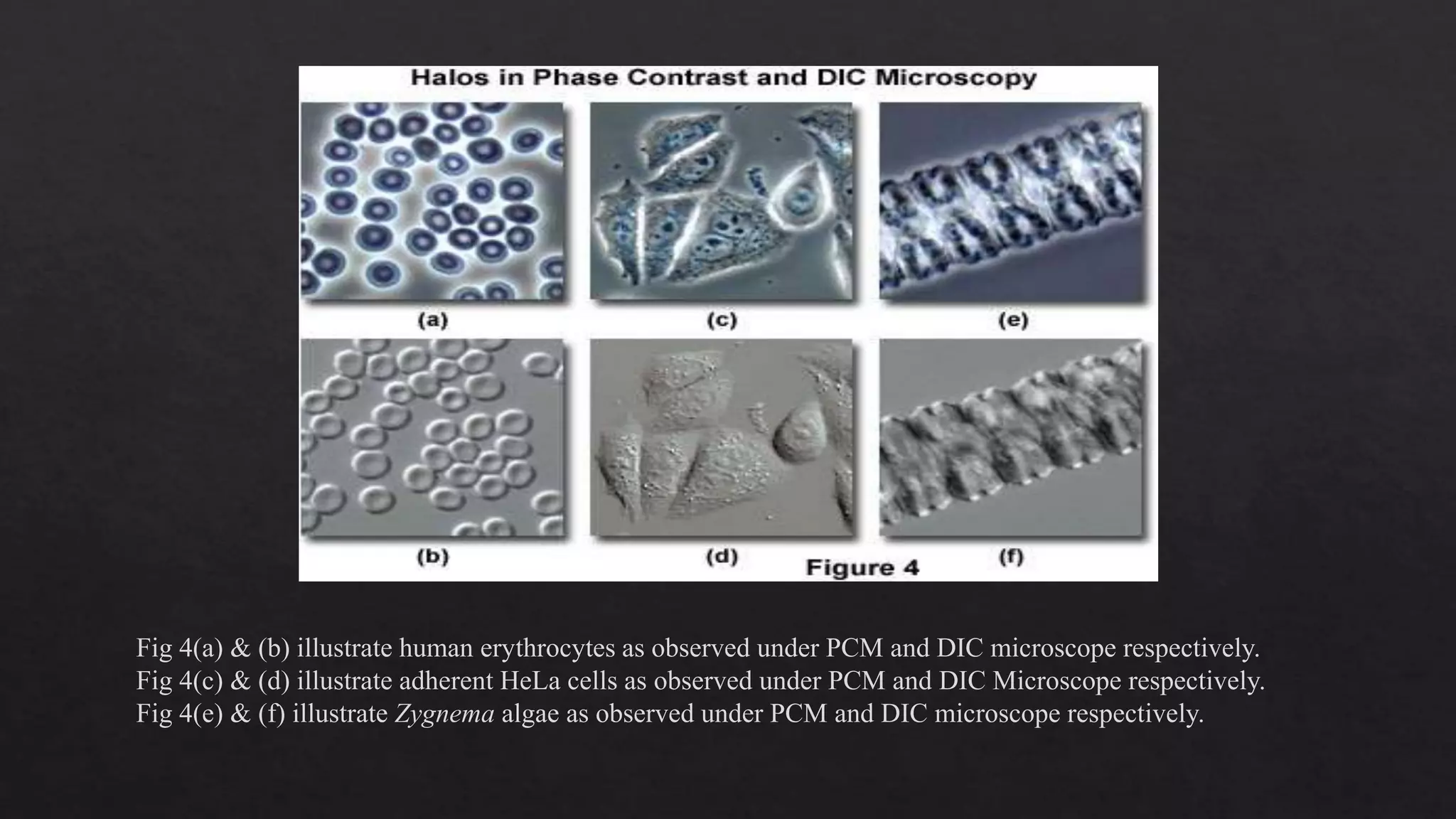 Differential Interference Contrast Microscope.pptx