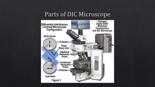 Differential Interference Contrast Microscope.pptx