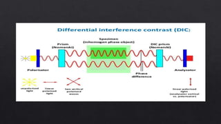 Differential Interference Contrast Microscope.pptx