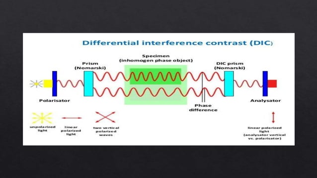 Differential Interference Contrast Microscope.pptx