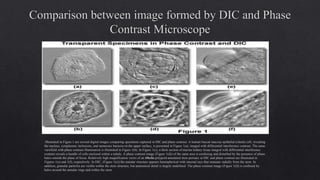 Differential Interference Contrast Microscope.pptx