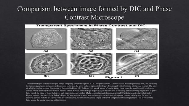 Differential Interference Contrast Microscope.pptx