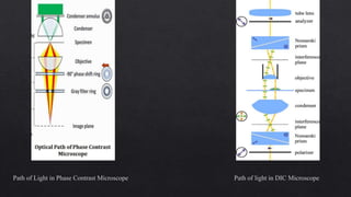 Differential Interference Contrast Microscope.pptx