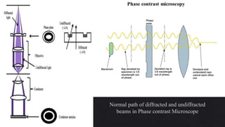 Differential Interference Contrast Microscope.pptx