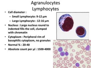 Differential leukocyte count | PPTX