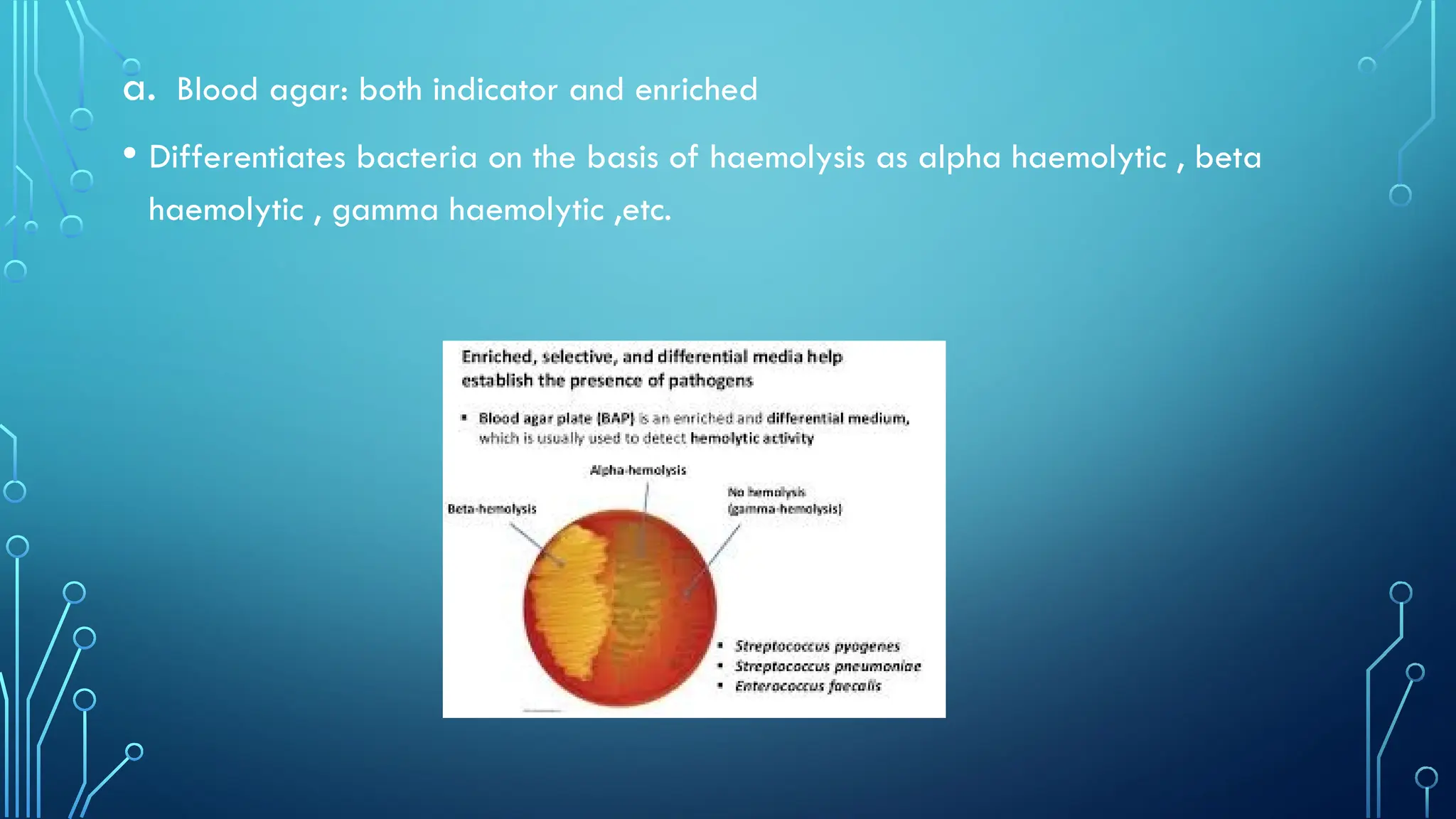 Differential media microbiology ppt.pptx