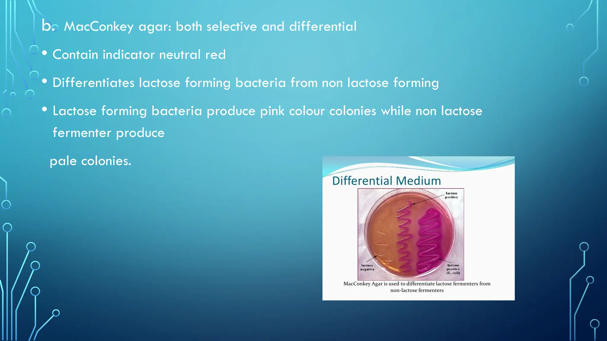 Differential media microbiology ppt.pptx