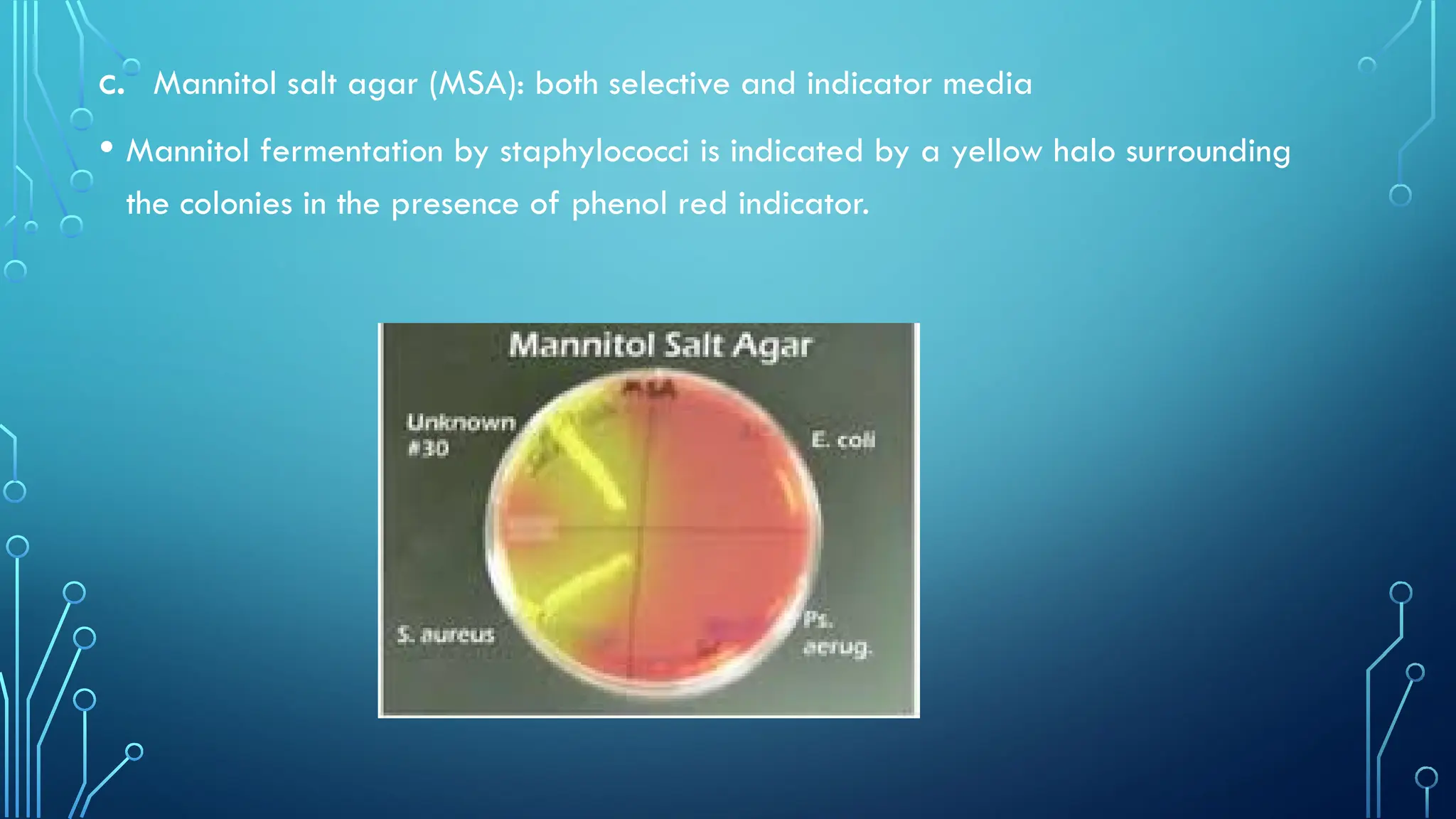 Differential media microbiology ppt.pptx